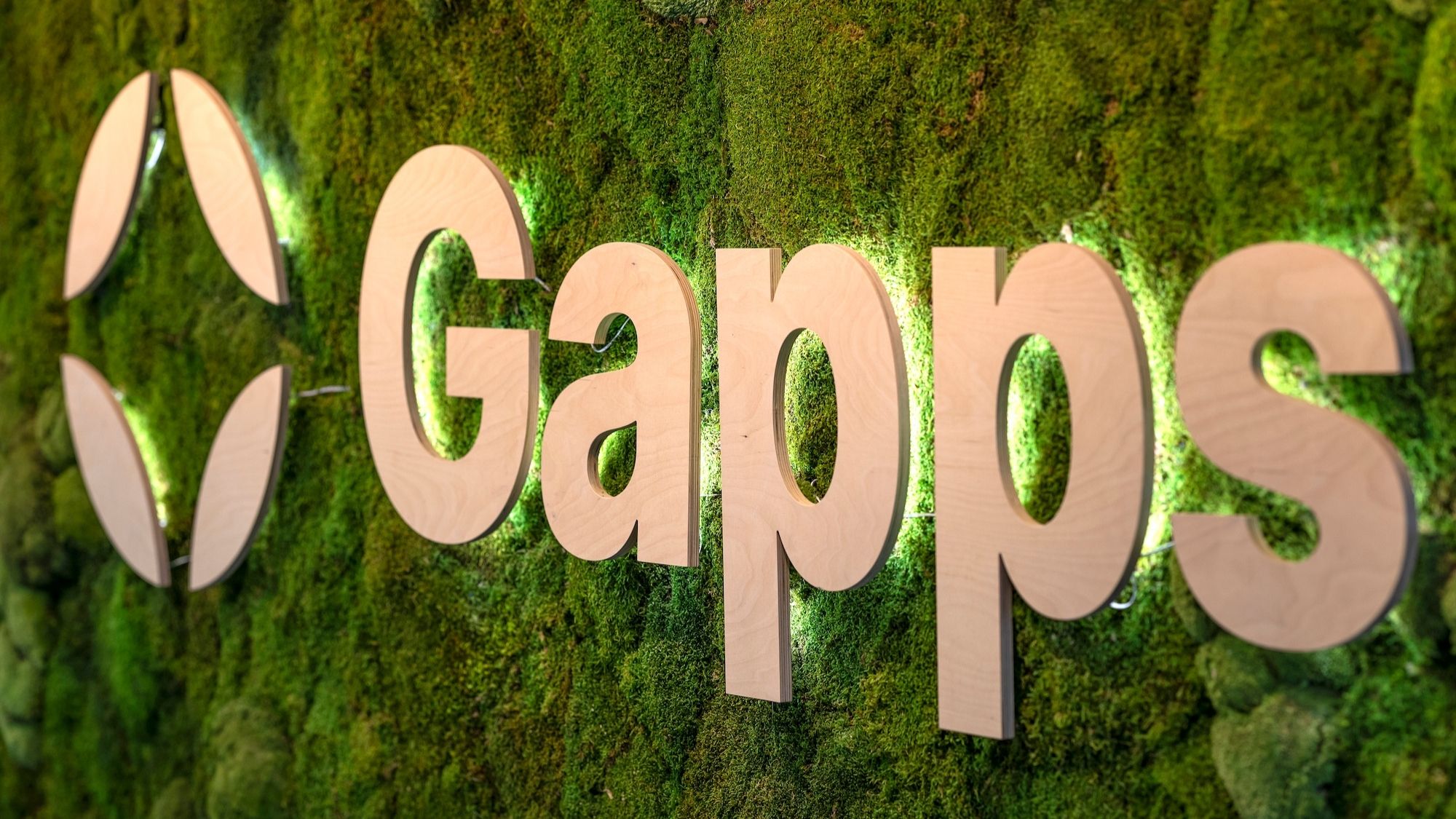 We are Gapps | Culture